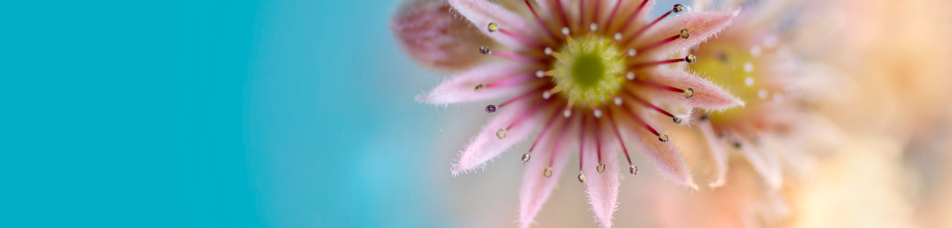 Fiori WM App Stock Transfer - All about SAP Fiori